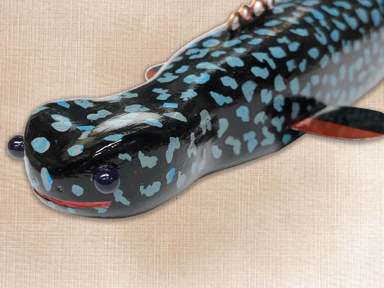 Black Spotted Salamander | Rodecoys