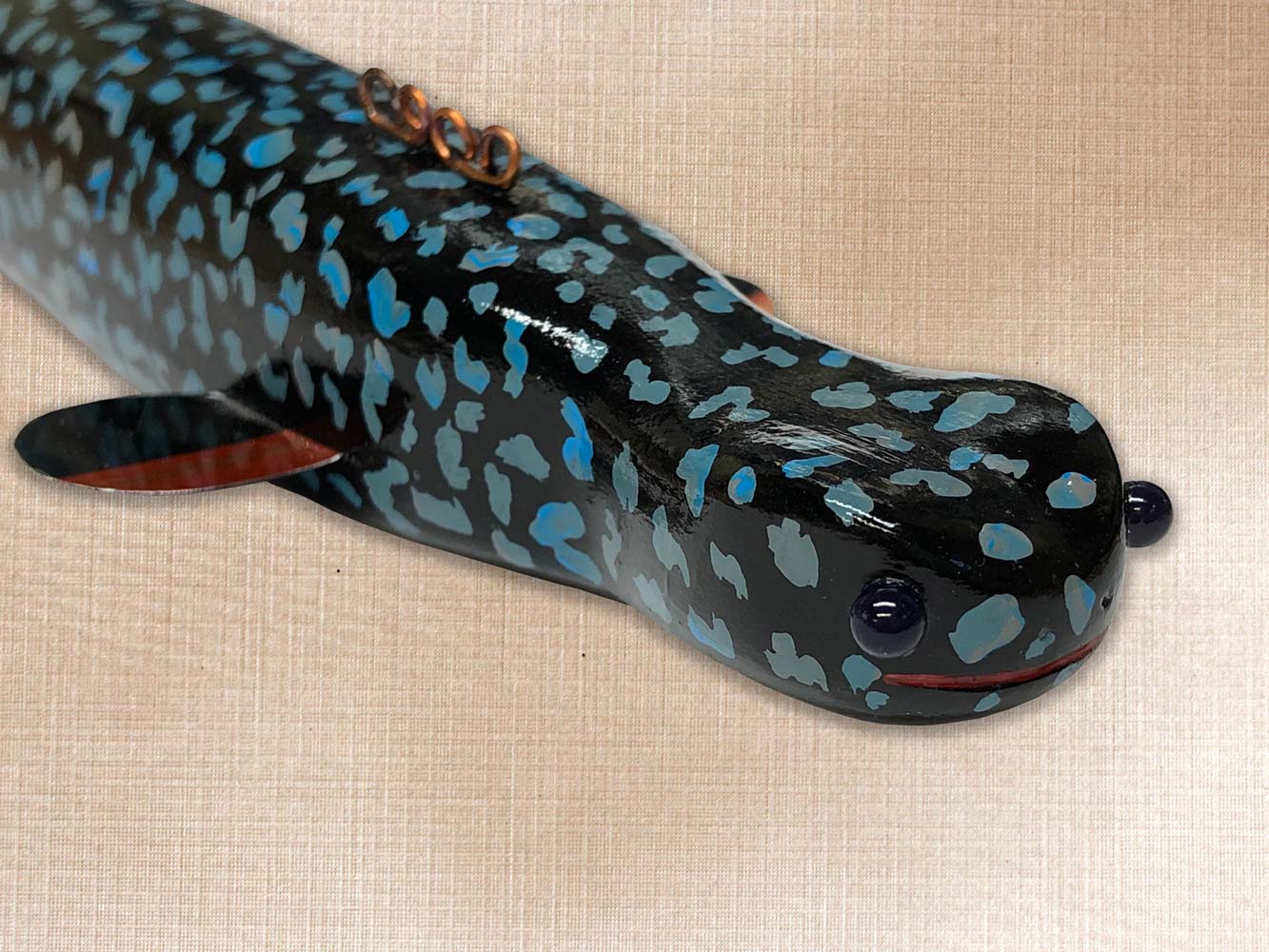 Black Spotted Salamander | Rodecoys