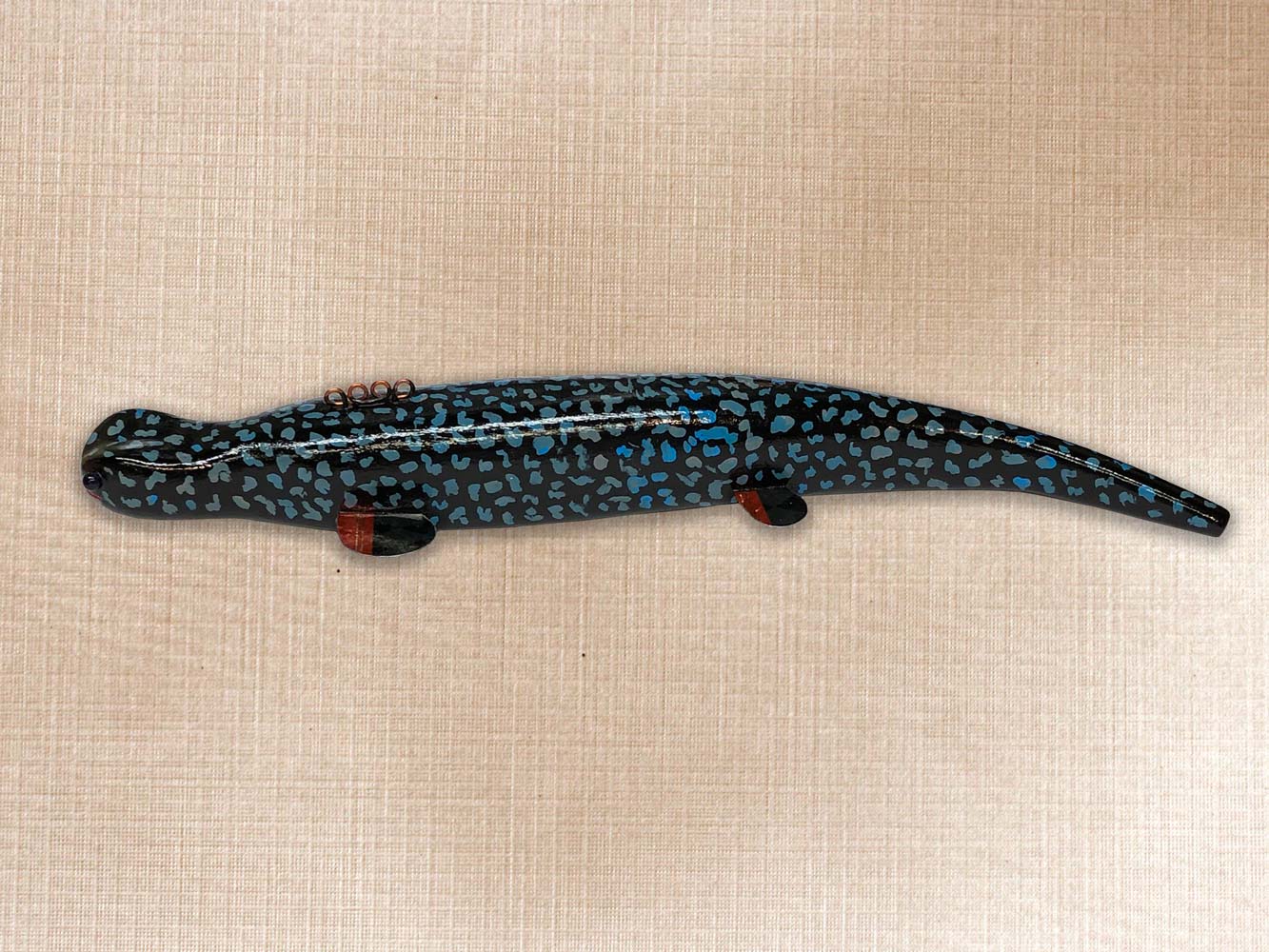 Black Spotted Salamander | Rodecoys